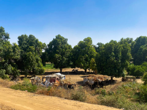 How to Visit Kassala and Hike the Taka Mountains - Quit and Go Travel